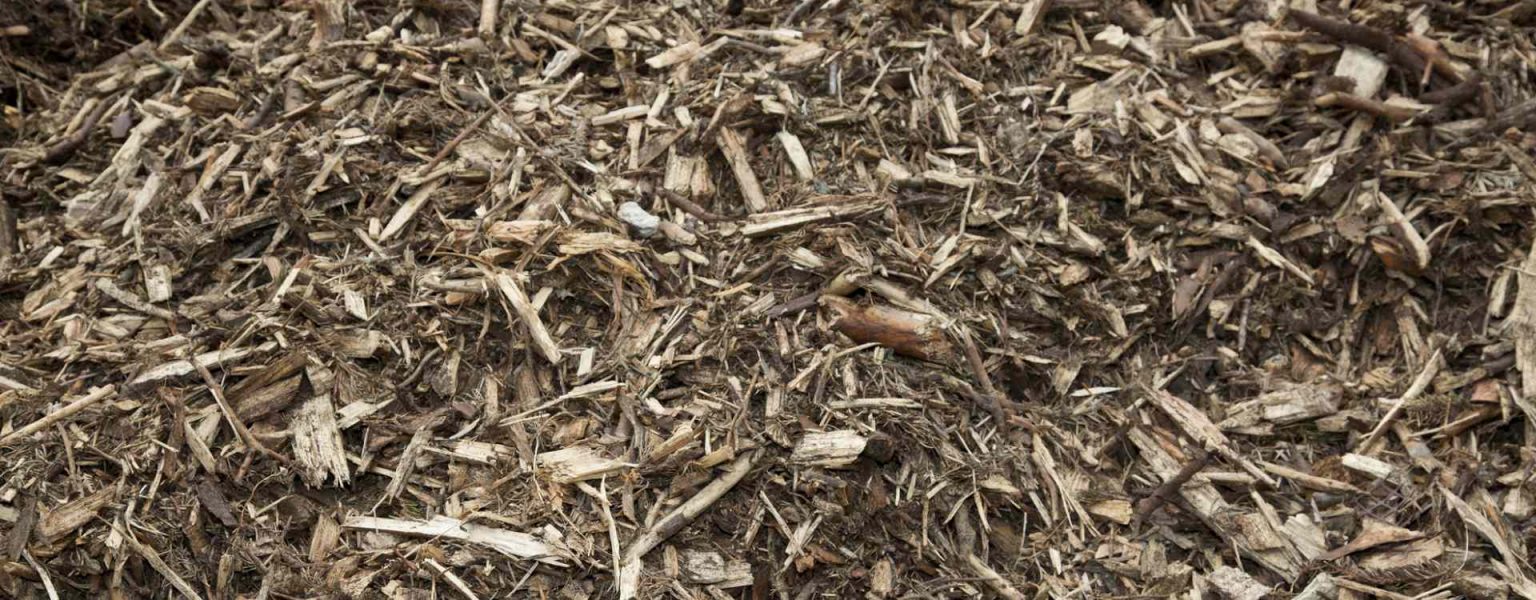 Sylvagen - Procuring arboriculture residues for the creation of biomass